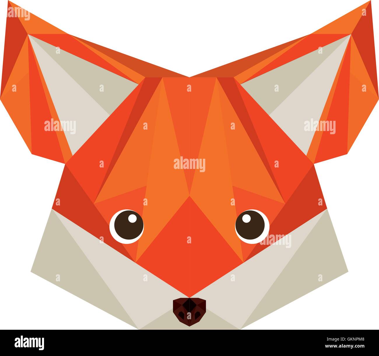 Polygon fox face hi-res stock photography and images - Alamy
