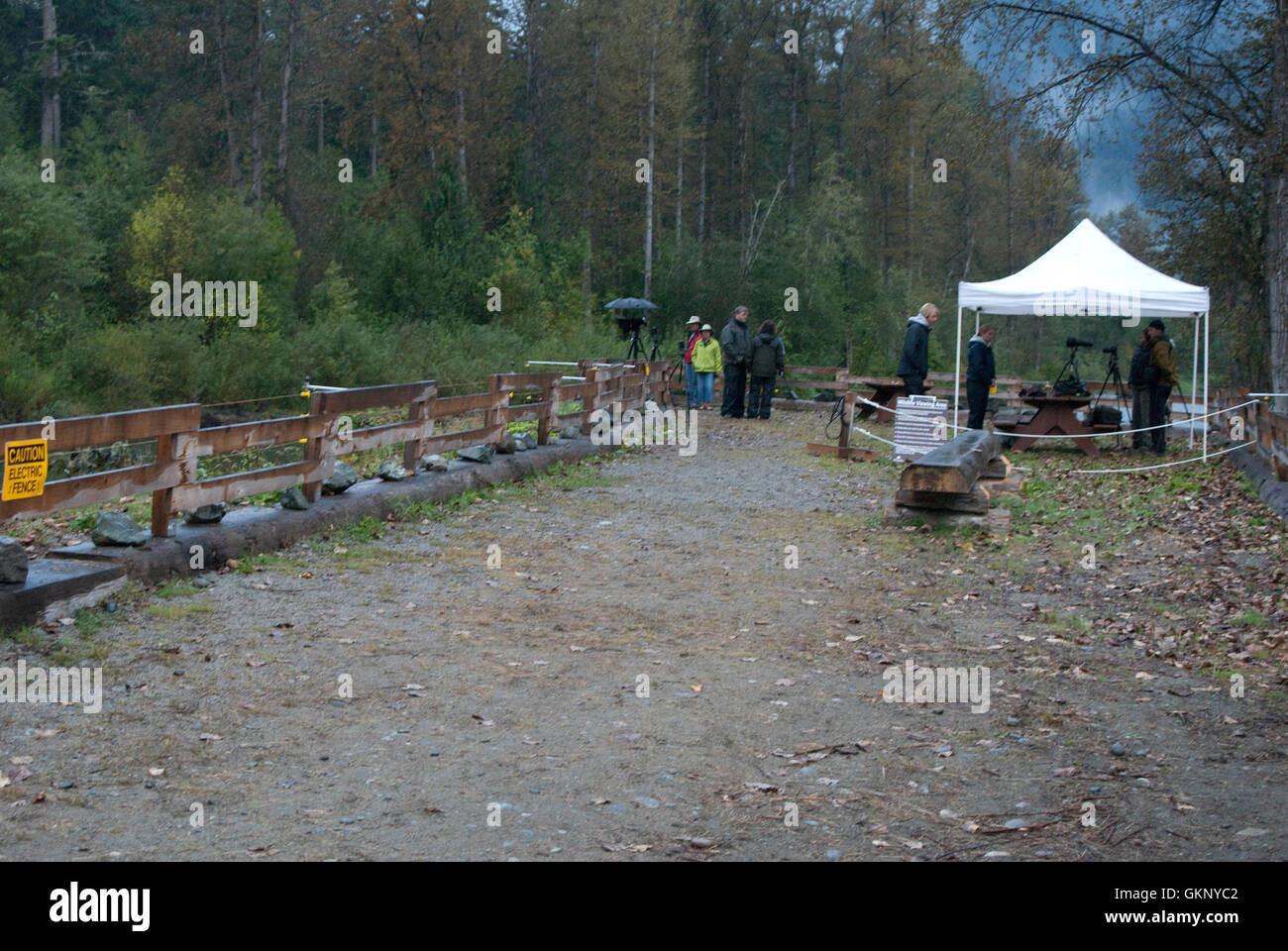 Wildlife viewing platform hi-res stock photography and images - Alamy