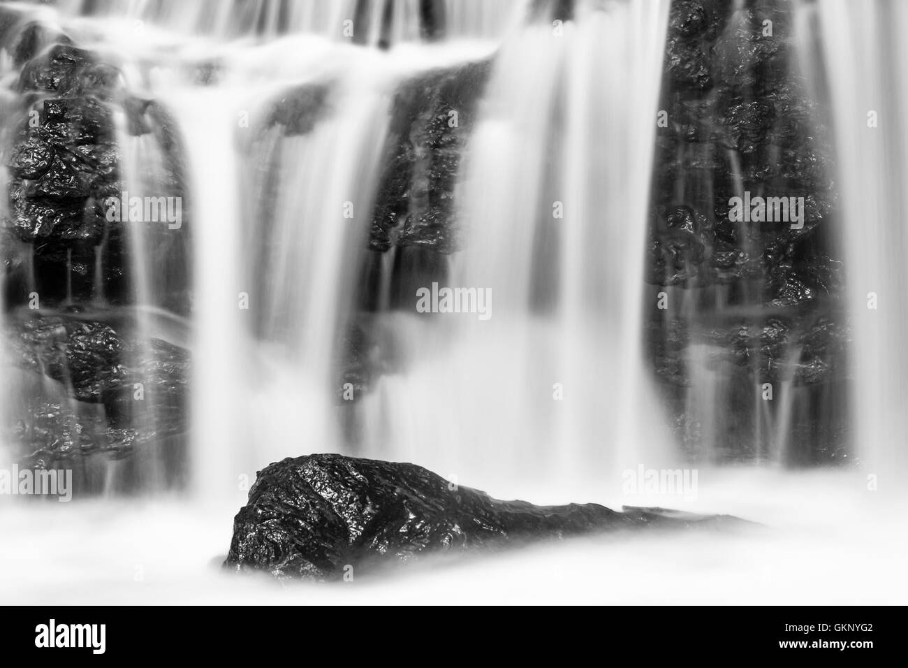 Nairobi park Black and White Stock Photos & Images - Alamy