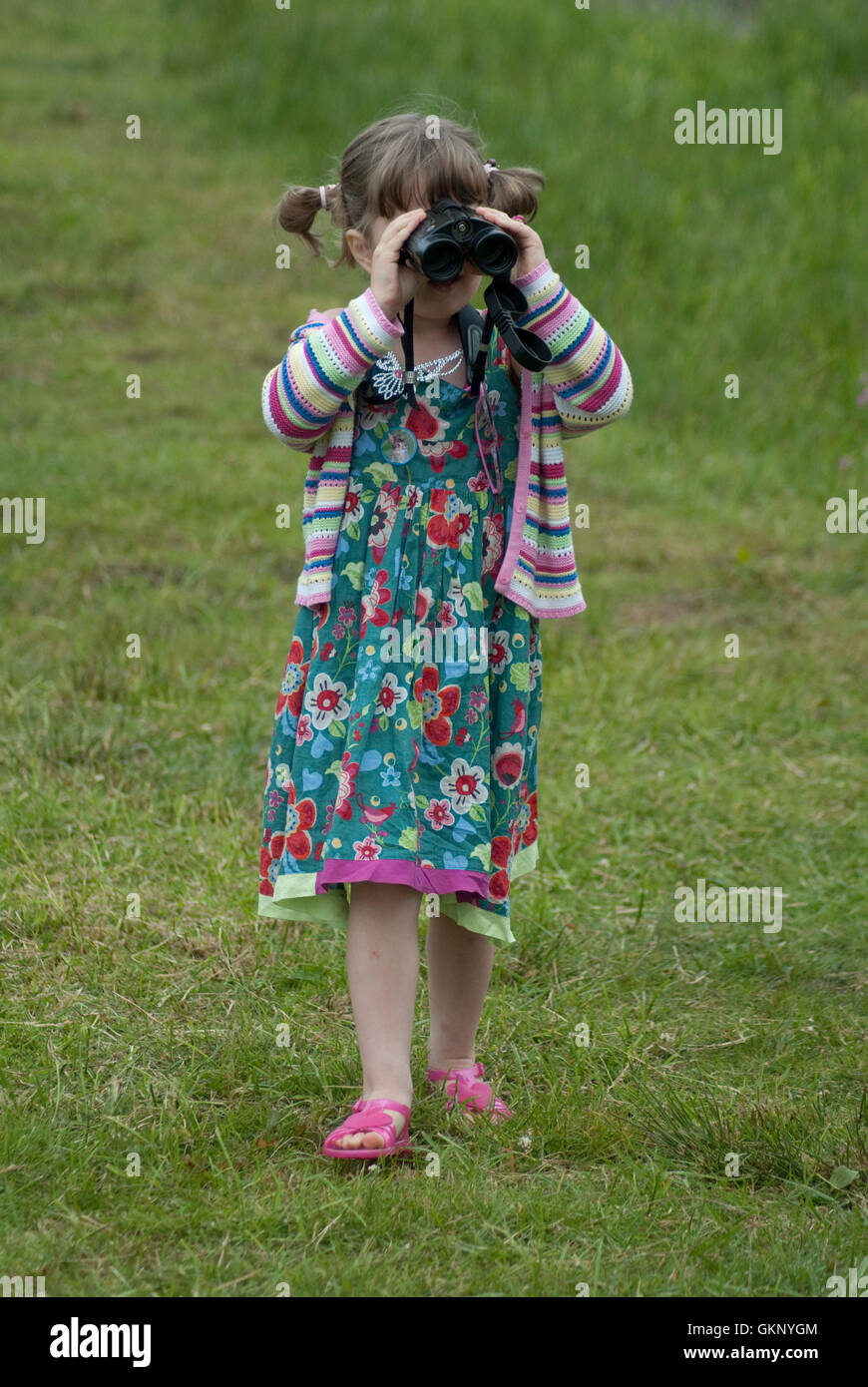 Young girl bird watching Stock Photo - Alamy
