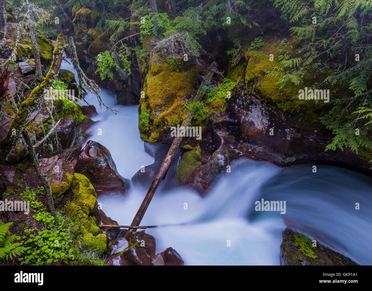 Snow Melt Water Powers through the Rock of Avalanche Creek Stock Photo ...
