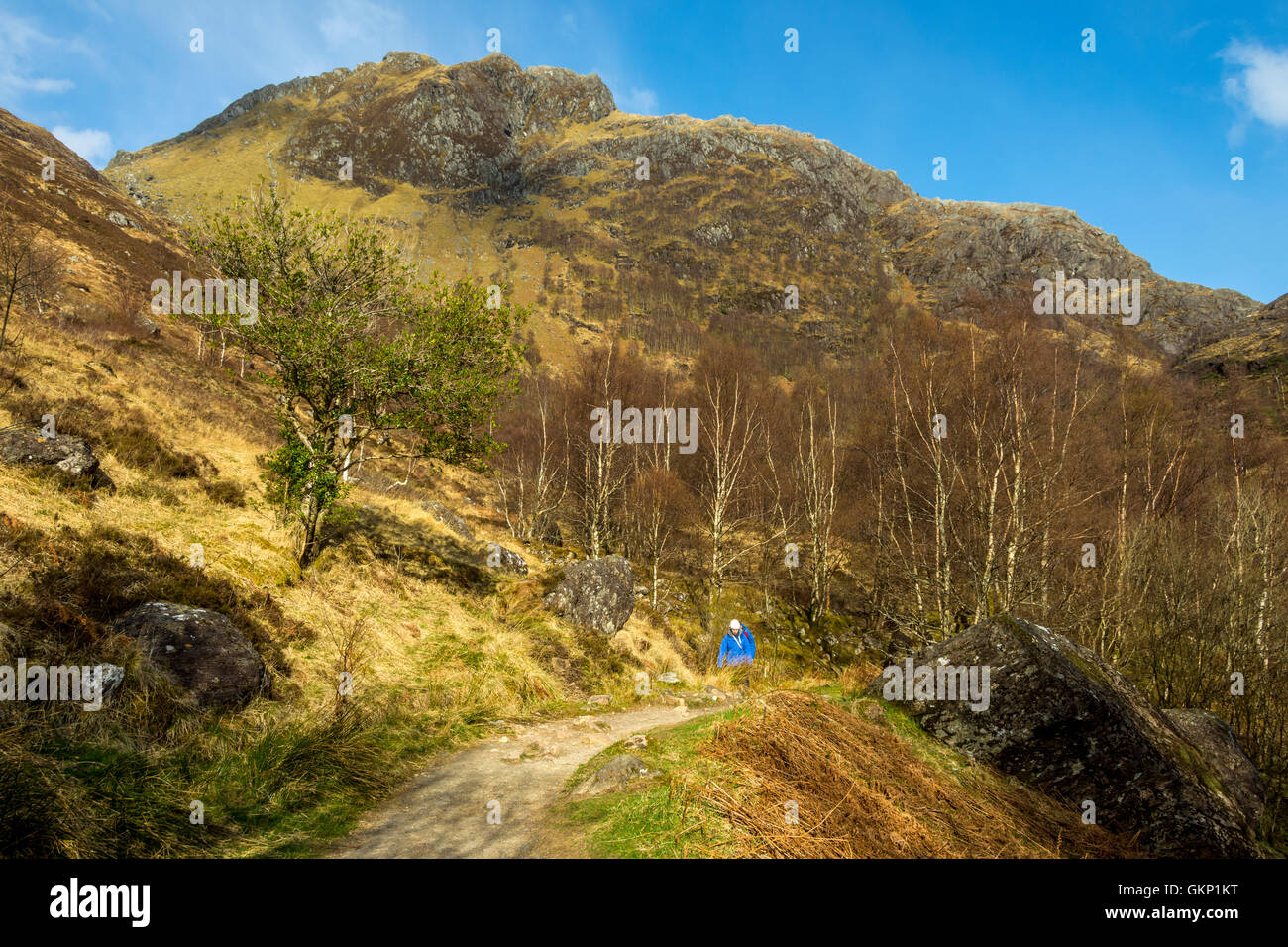 A walker at the start of the footpath through the Nevis Gorge, Glen ...