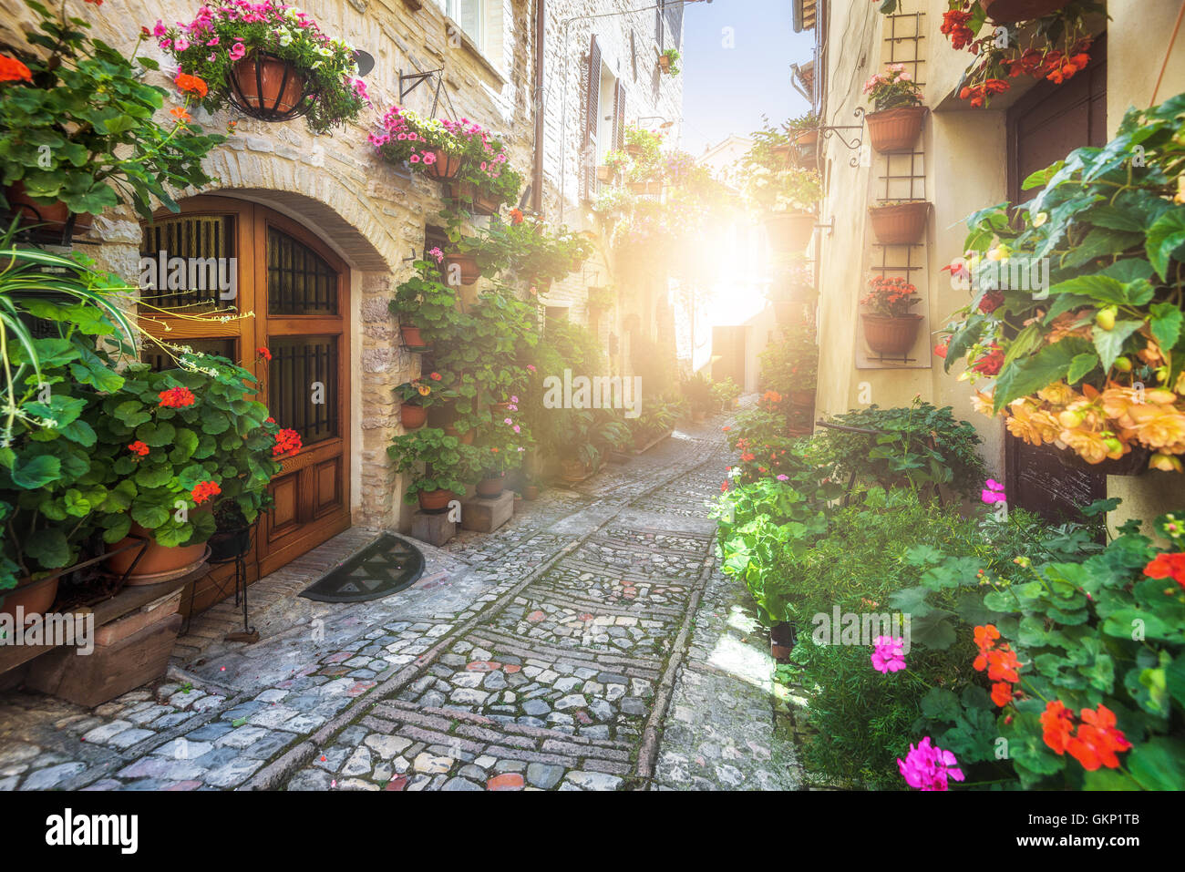 Medieval Construction Stock Photos & Medieval Construction Stock Images ...