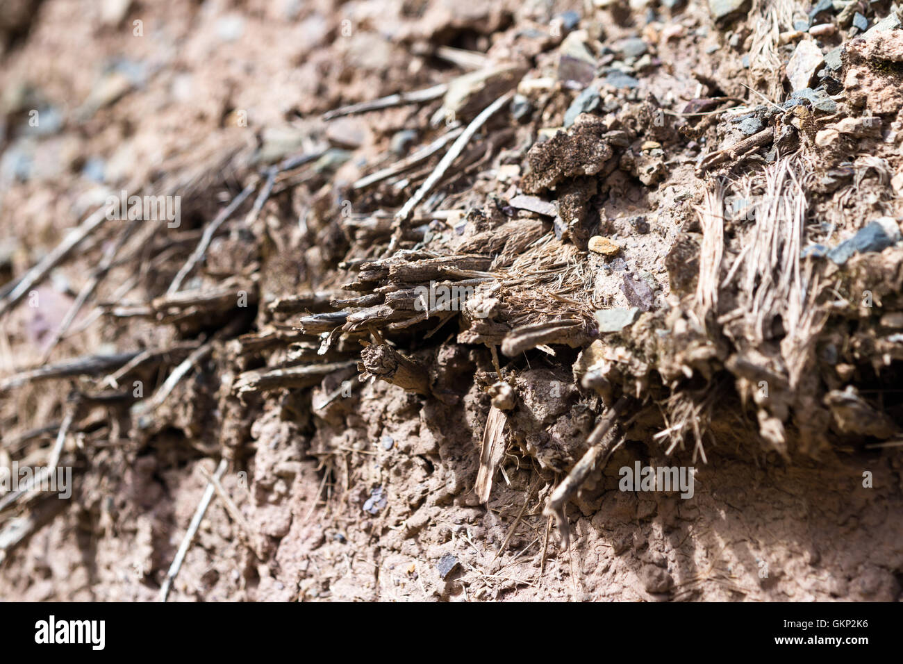 Mud and straw walls hi-res stock photography and images - Alamy
