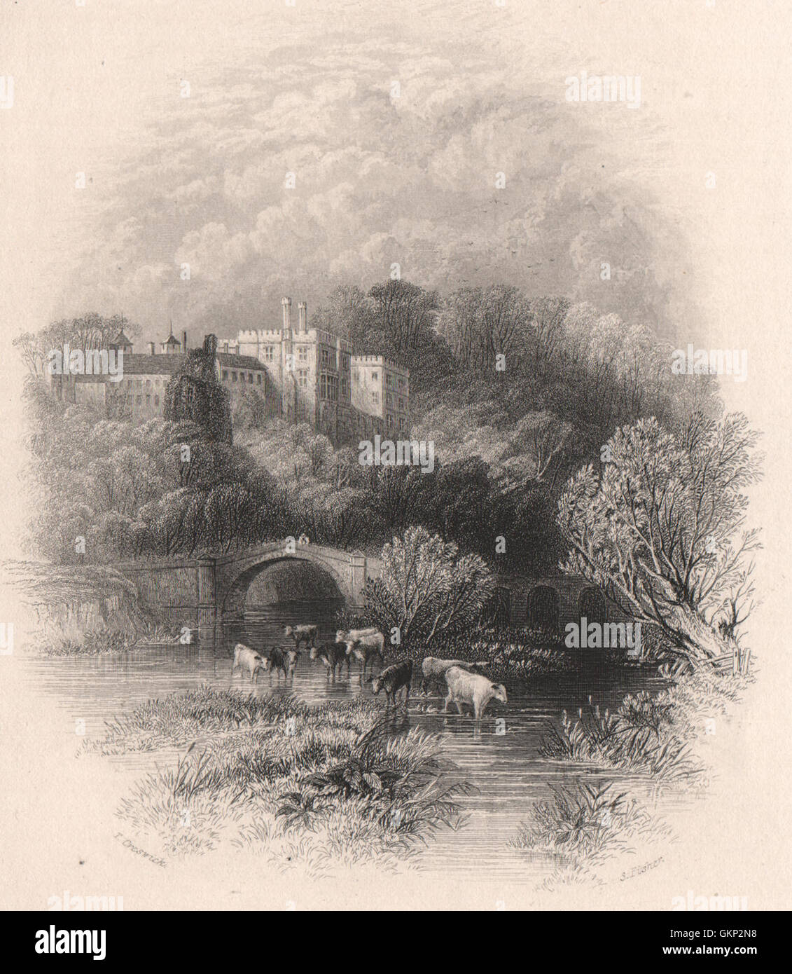 Lismore Castle, Waterford. Ireland, antique print 1835 Stock Photo - Alamy