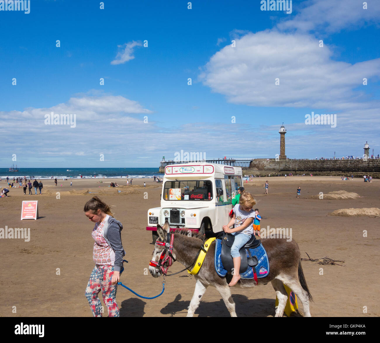Donkey ice hi-res stock photography and images - Alamy