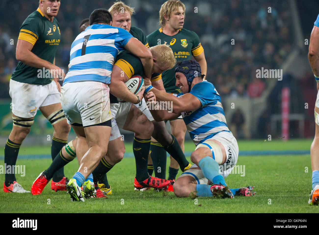 Springboks rugby hi-res stock photography and images - Alamy