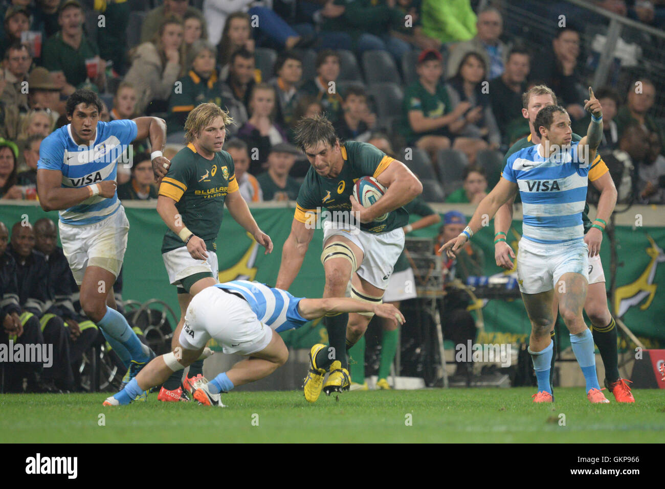 Springboks rugby hi-res stock photography and images - Alamy