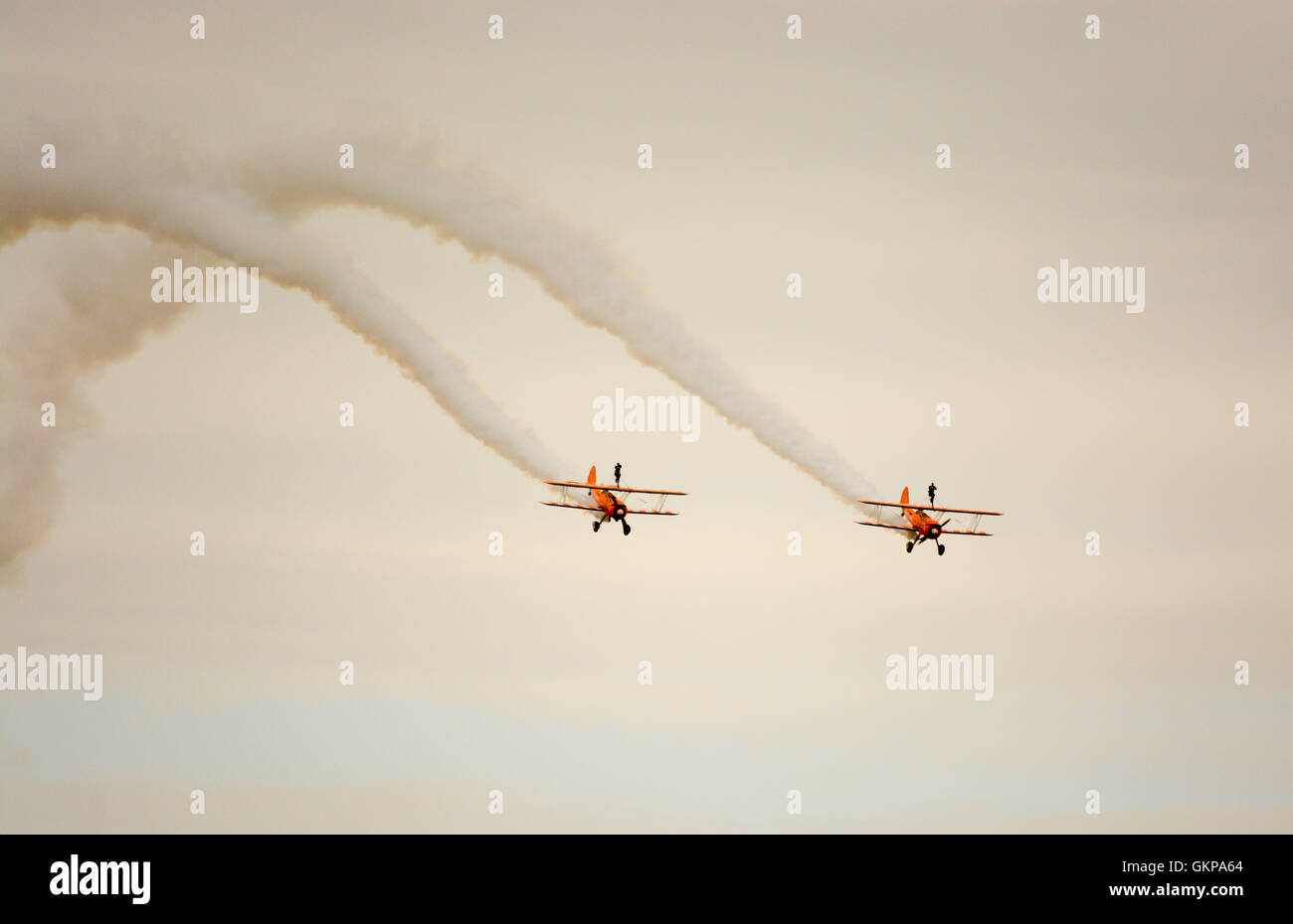 Bi wing hi-res stock photography and images - Alamy