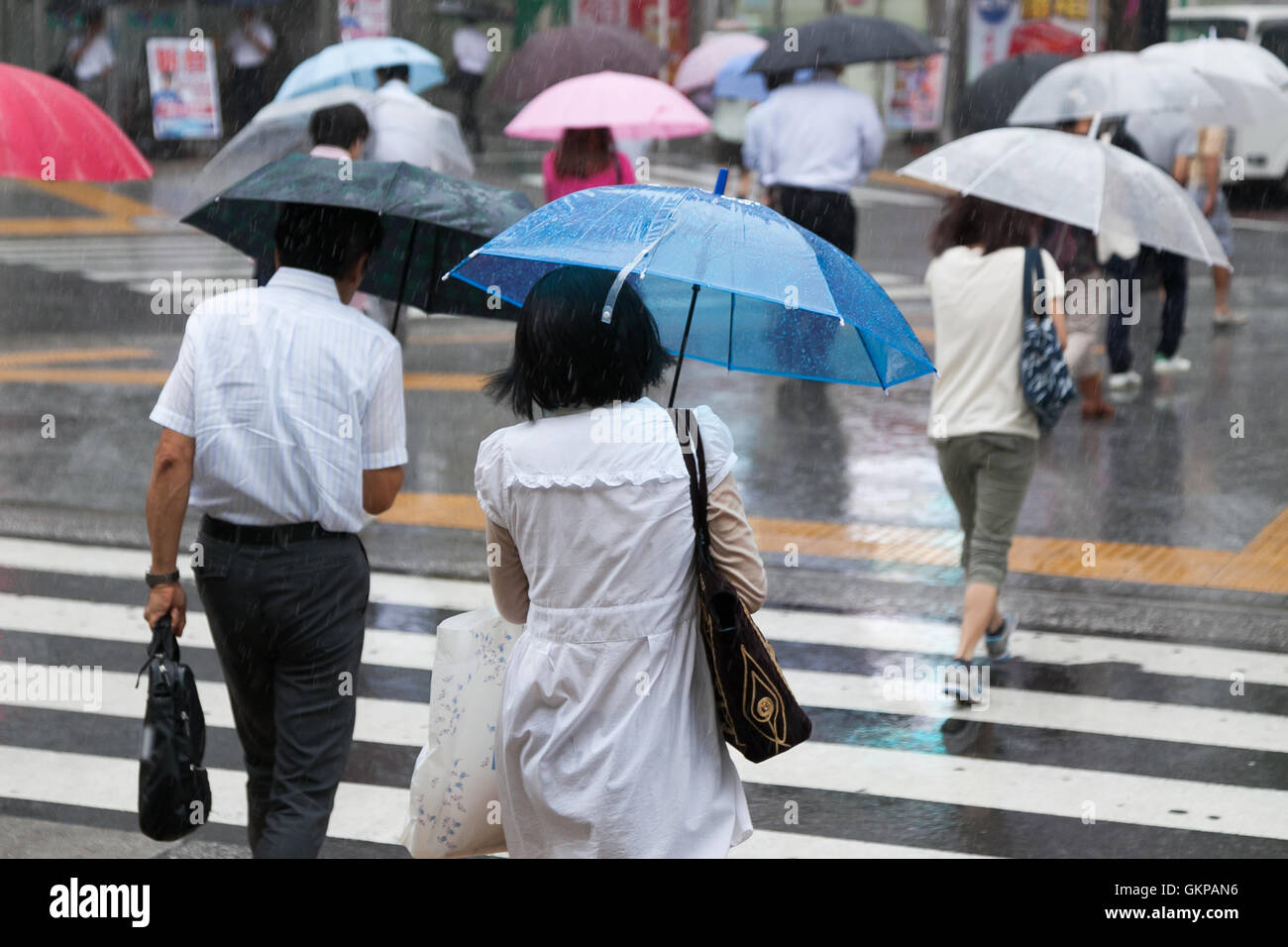 Tokyo, Japan 22nd Aug, 2016 Pedestrians hold umbrellas under the rain ...