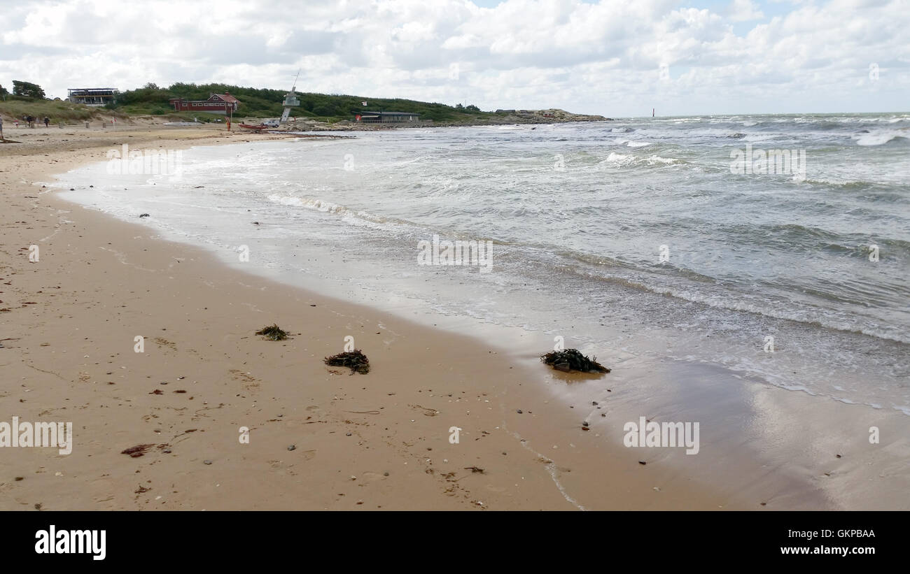 Halmstad, Sweden. 11th Aug, 2016. A view of the Tylösand beach in ...