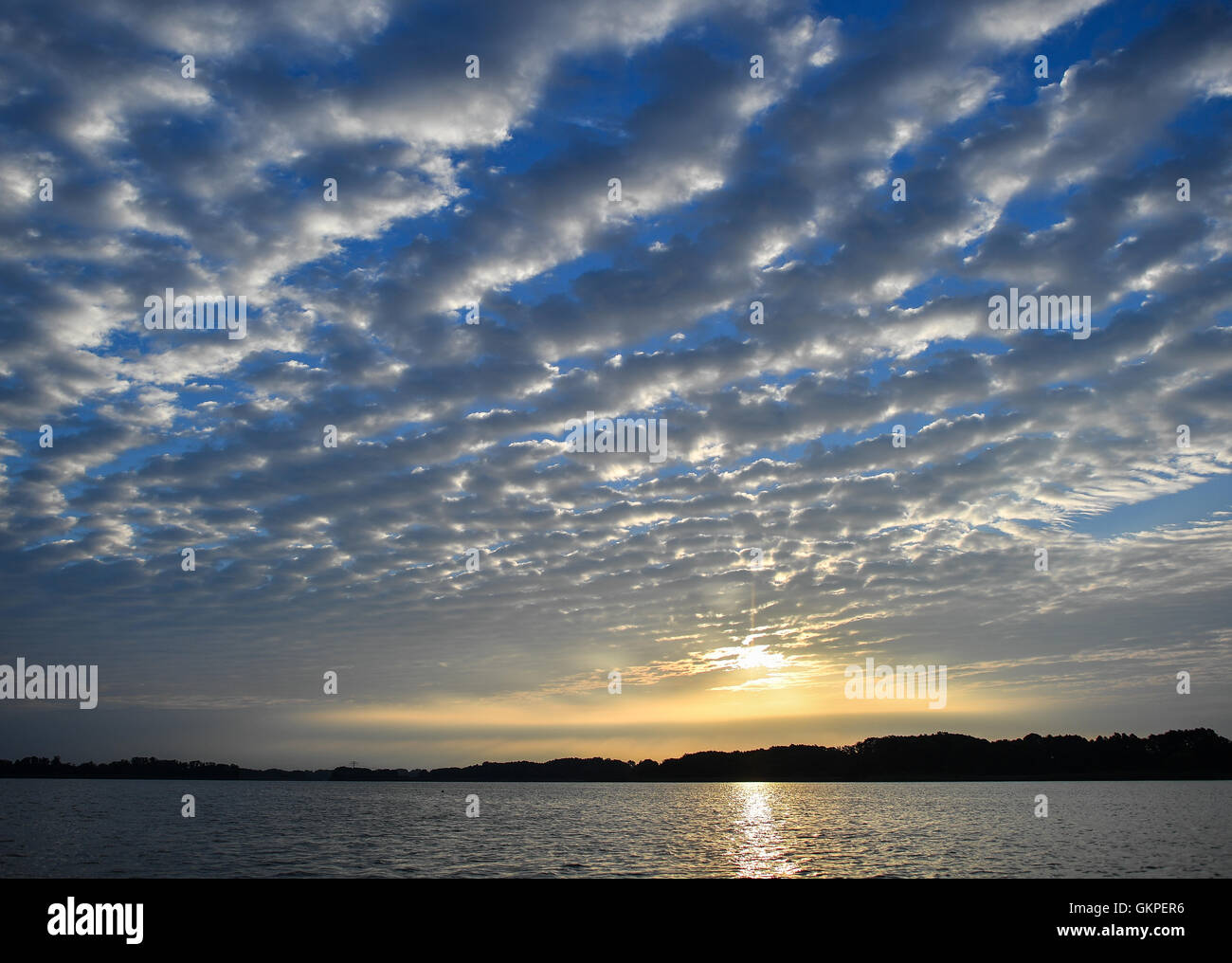 Storkow, Germany. 23rd Aug, 2016. The sun rises over the Gross ...