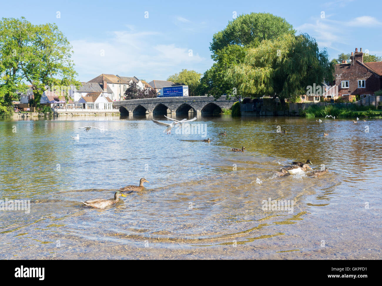 New forest water park fordingbridge hi-res stock photography and images ...