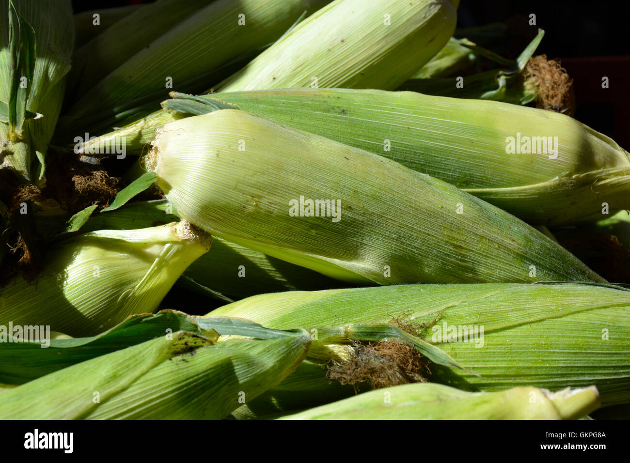 Sweetcorn: corn on the cob Stock Photo - Alamy