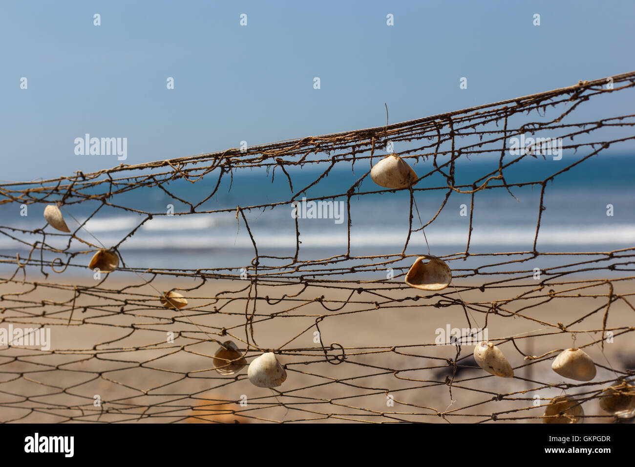 Clam fishing net hi-res stock photography and images - Alamy