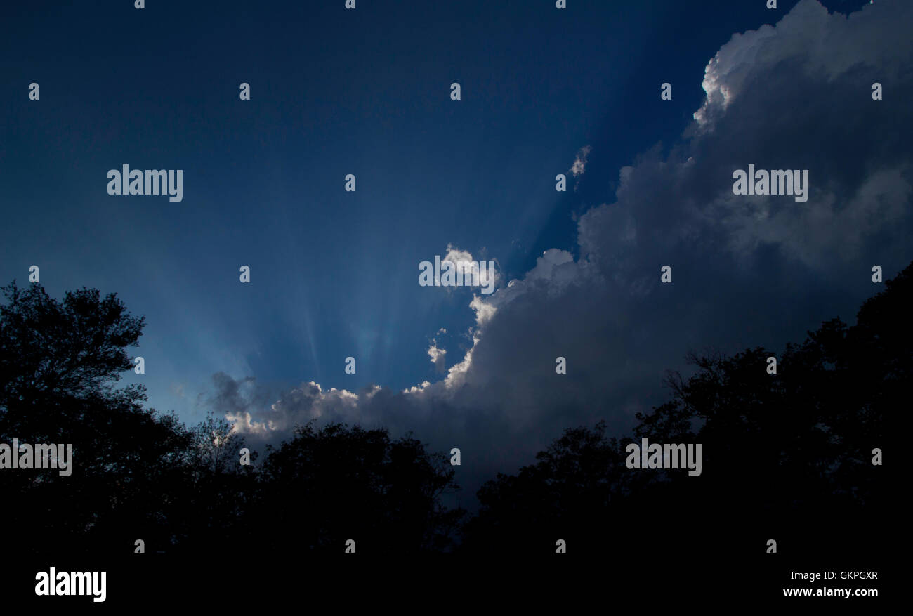 Sun illuminating trees hi-res stock photography and images - Alamy