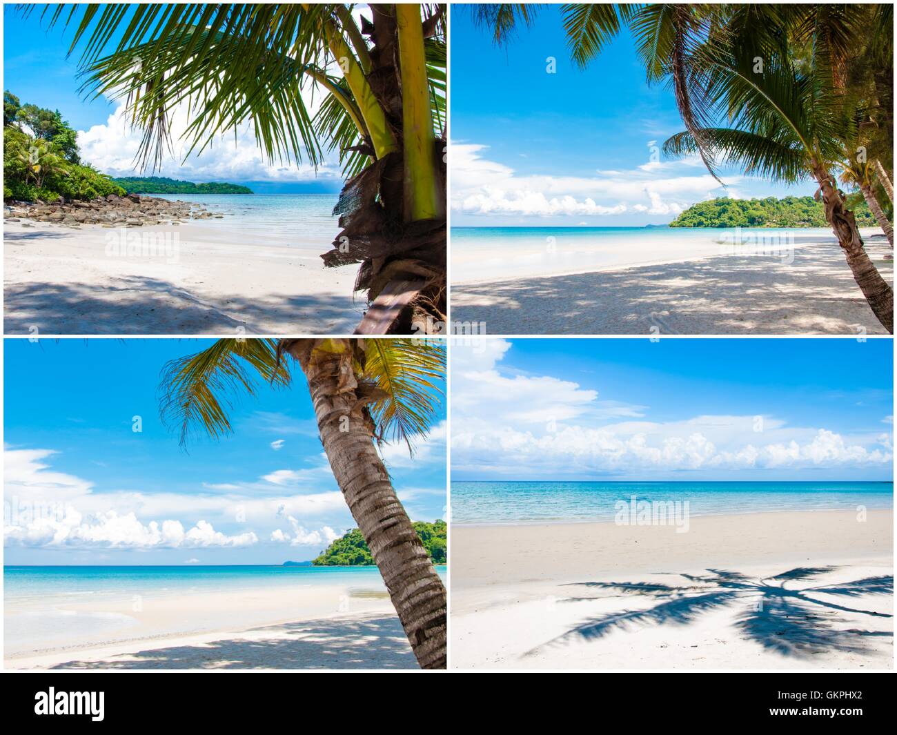 Photo collage of tropical beach with palm trees Stock Photo - Alamy
