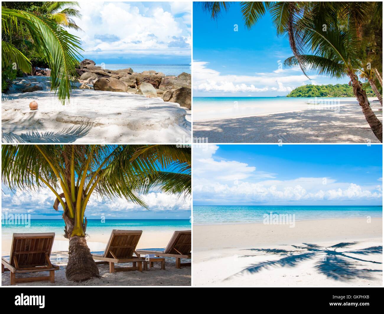 Photo collage tropical beach palm hi-res stock photography and images ...
