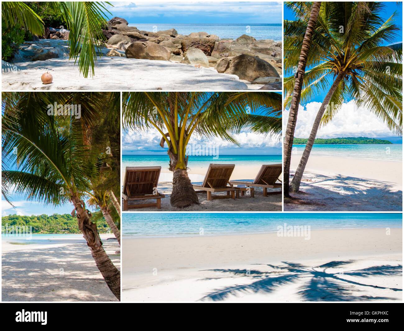 Photo collage of tropical beach with palm trees Stock Photo - Alamy