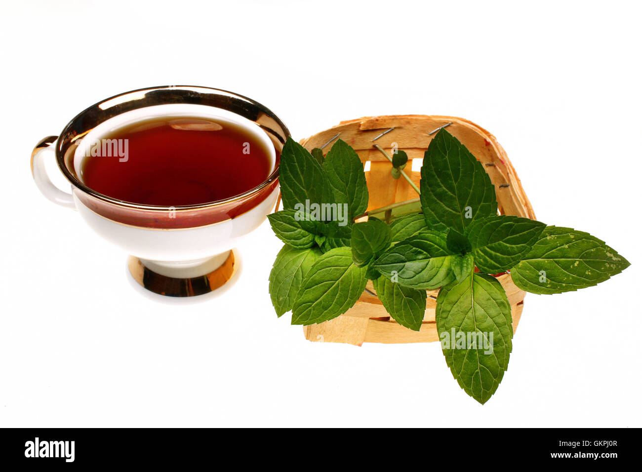 Mint mentha pulegium tea herbs isolated on a white background Stock ...