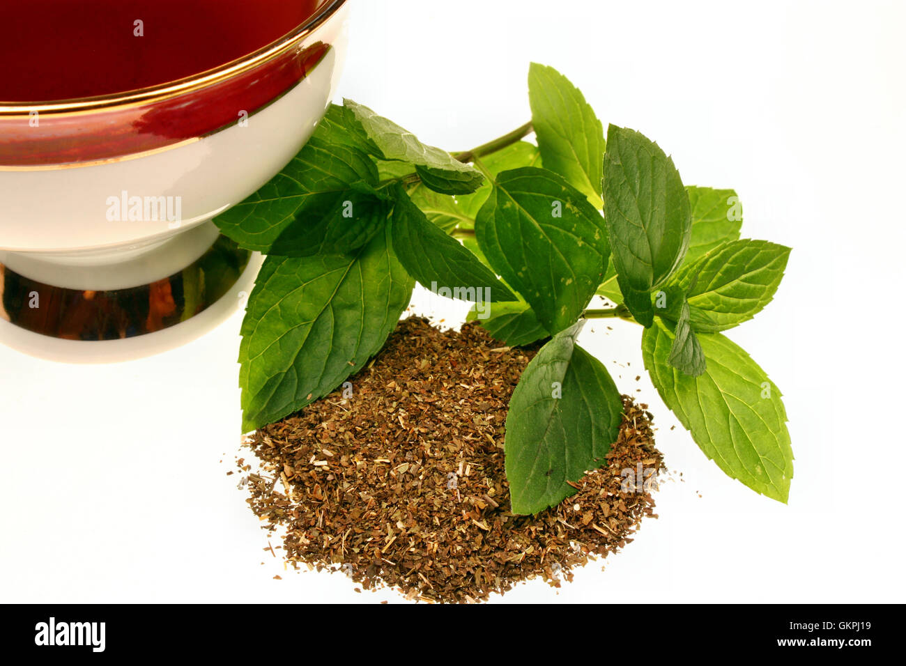 Mint mentha pulegium tea herbs isolated on a white background Stock ...