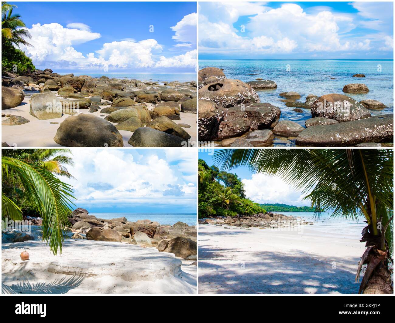 Photo collage of tropical beach with palm trees Stock Photo - Alamy