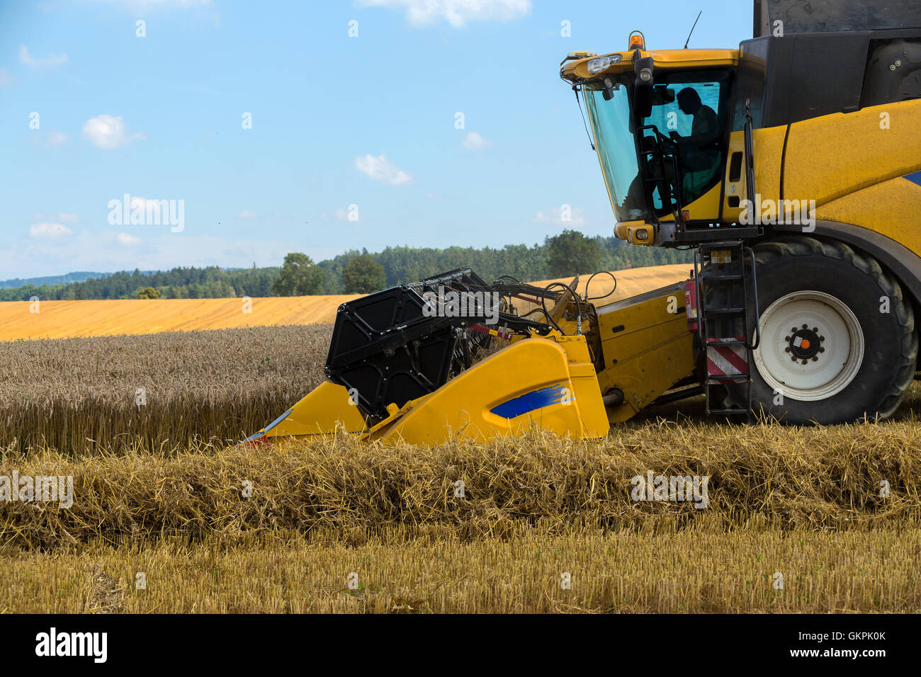 Yellov harvester automatic combine on field harvesting wheat in sunny ...