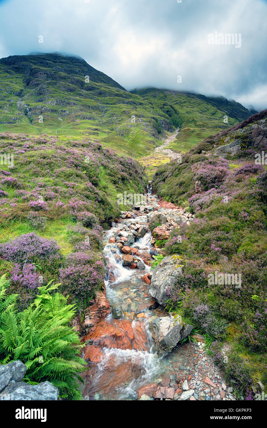 A waterfall cascading in to the river Coe at Glencoe in the Scottish ...