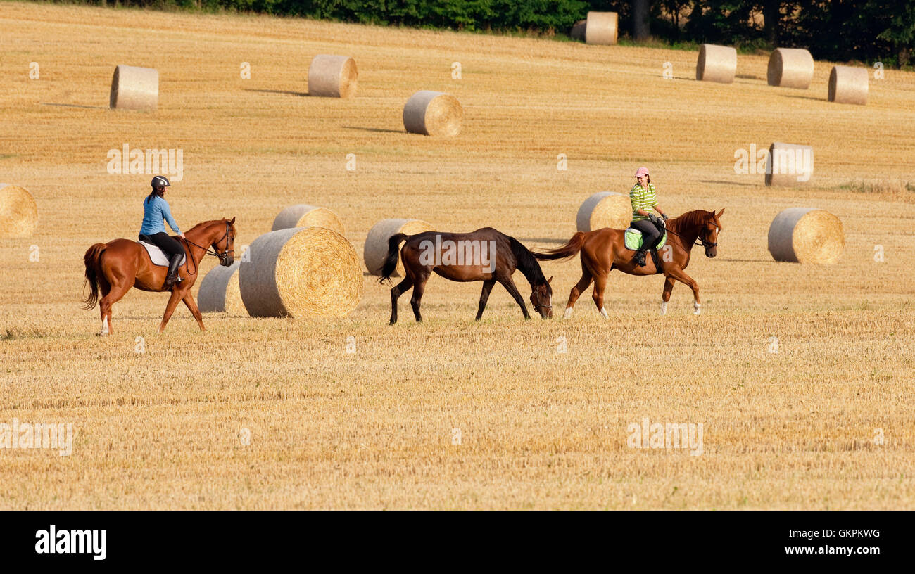 Two Women Horseback Riding in a Field with Bales of Hay Stock Photo - Alamy
