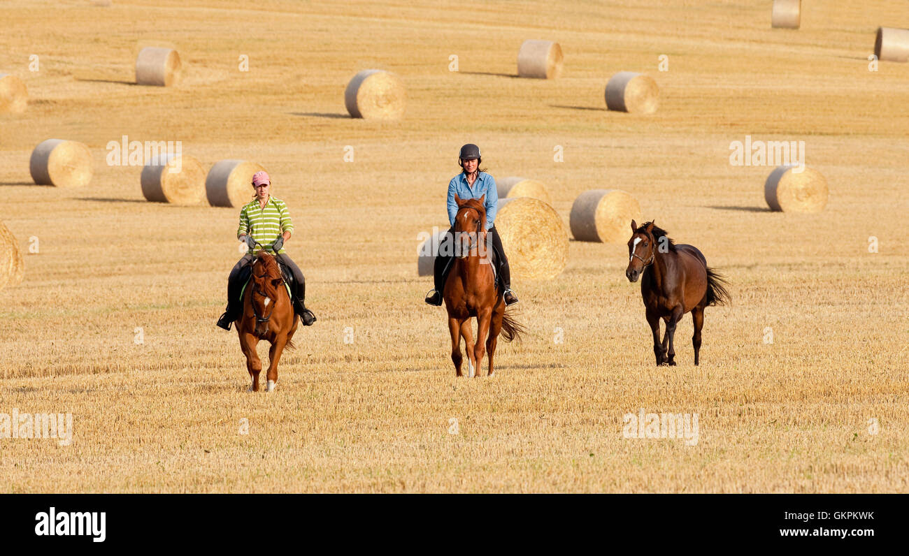 Two Women Horseback Riding in a Field with Bales of Hay Stock Photo - Alamy