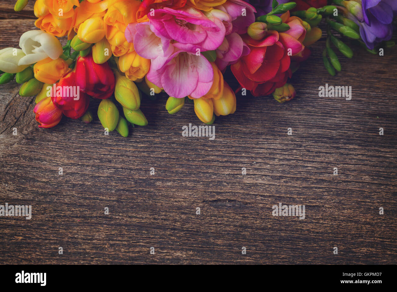 Freesias garden border hi-res stock photography and images - Alamy