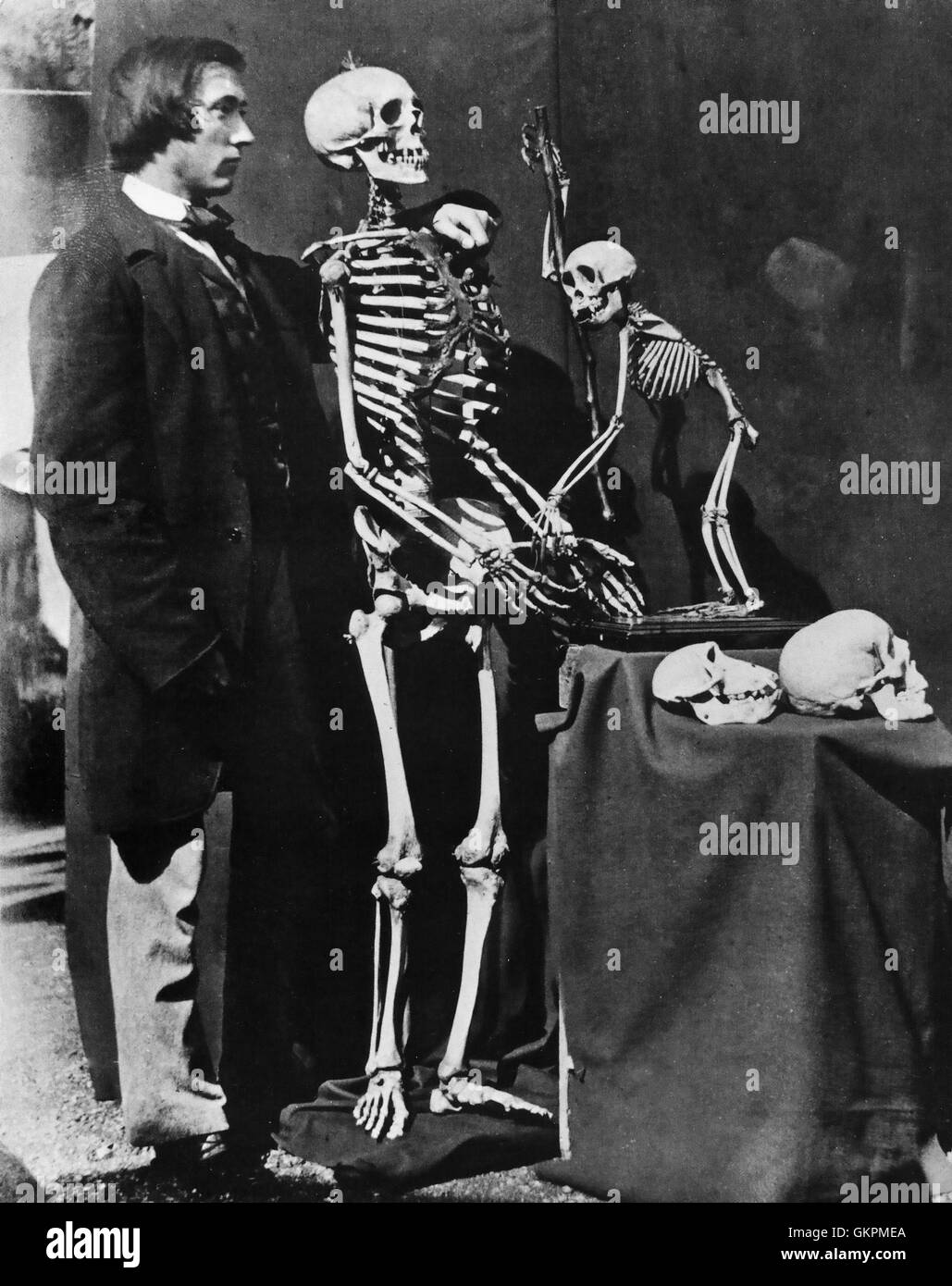 Reginald charles hi-res stock photography and images - Alamy