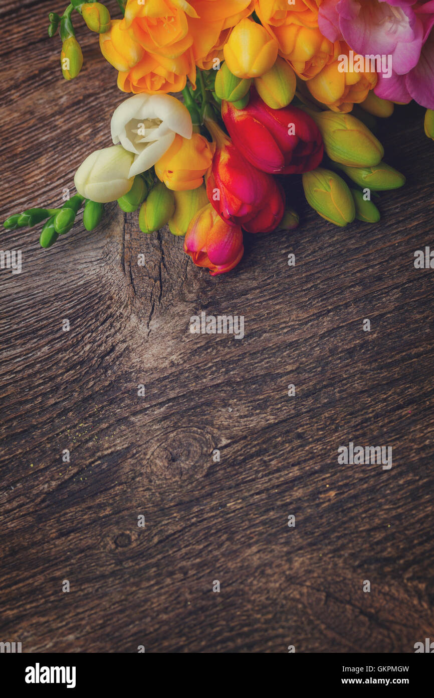 Freesias garden border hi-res stock photography and images - Alamy