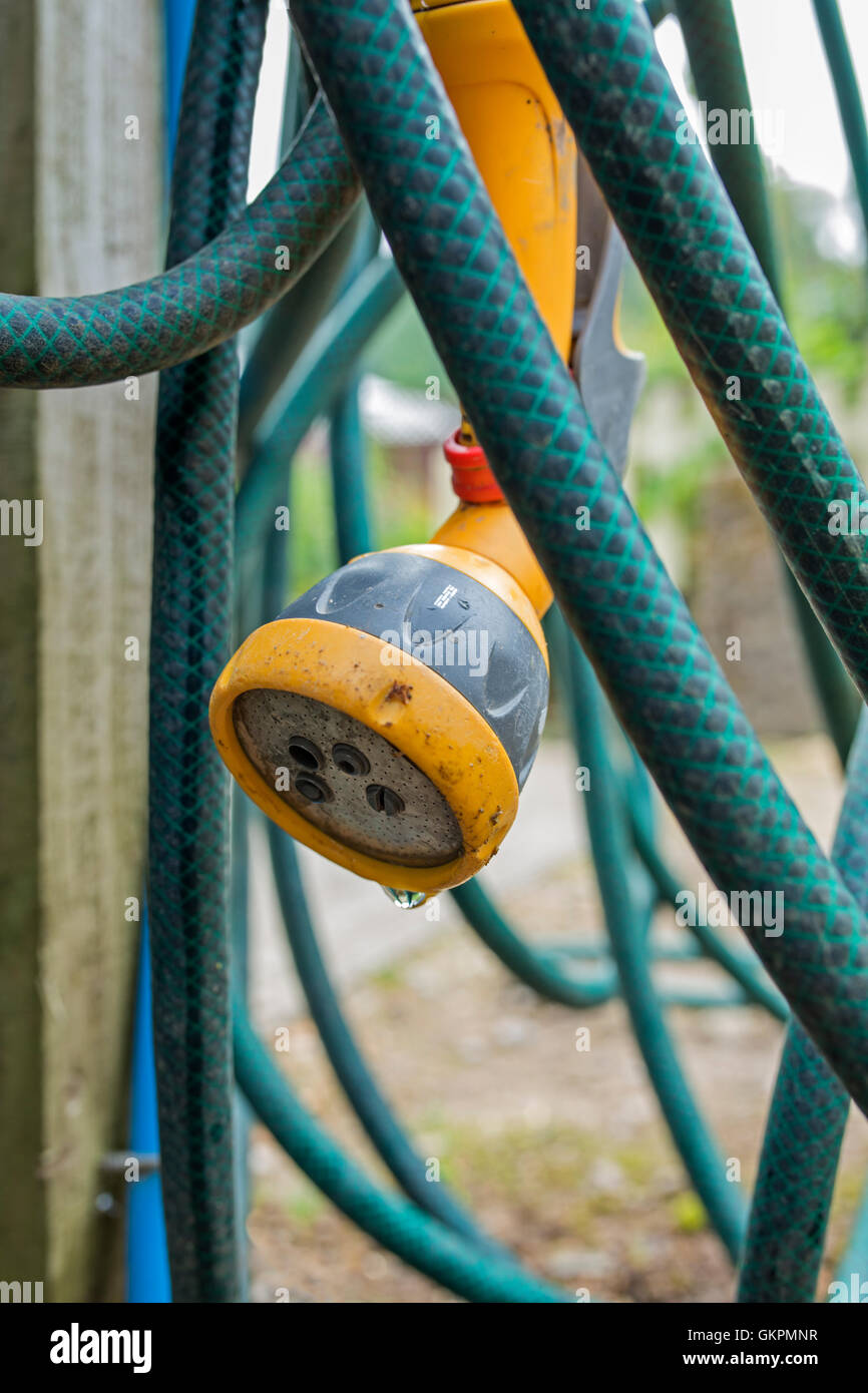 Garden hose and trigger head Stock Photo - Alamy