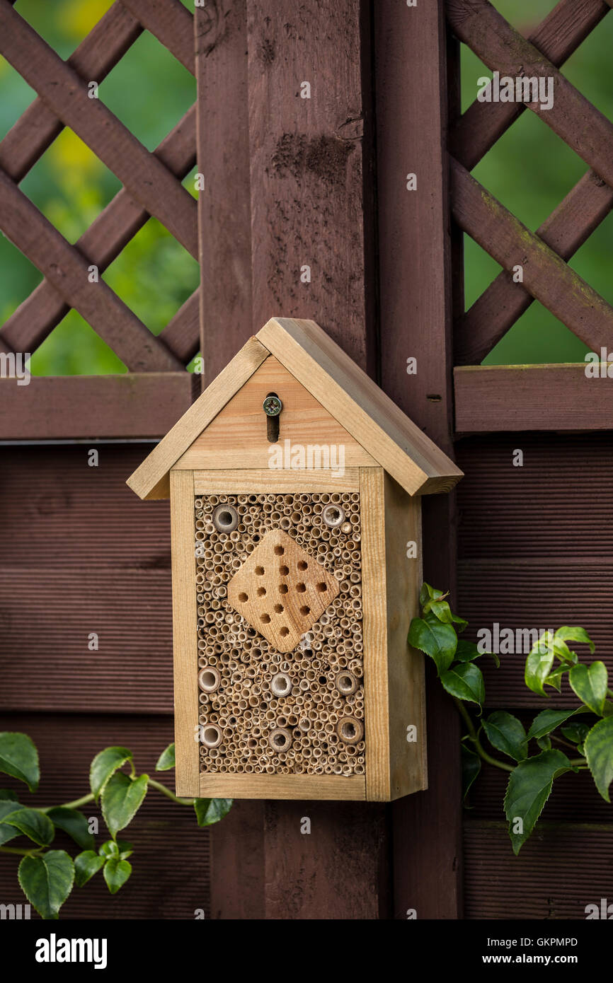 Insect box hi-res stock photography and images - Alamy
