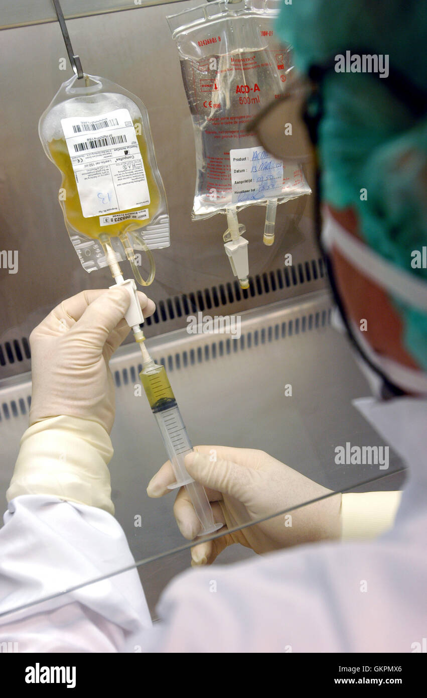 Lab worker preparing plasmabags for transport to the hospital Stock ...