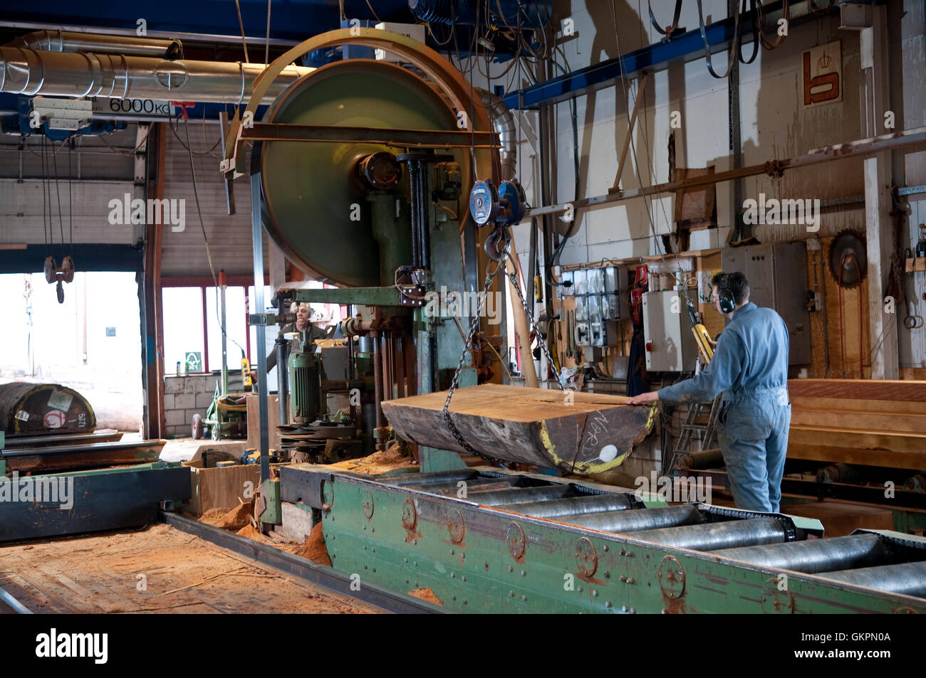 Logs being sawed in sawmill Stock Photo - Alamy