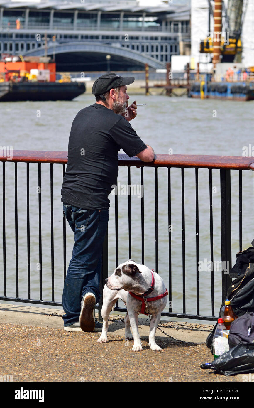 London England, UK. Man with a Staffordshire Bull Terrier (possibly ...