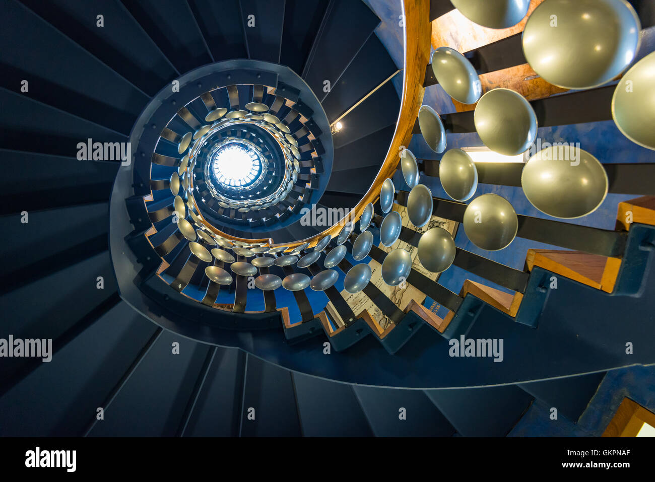 Fairy Law Magic Circle