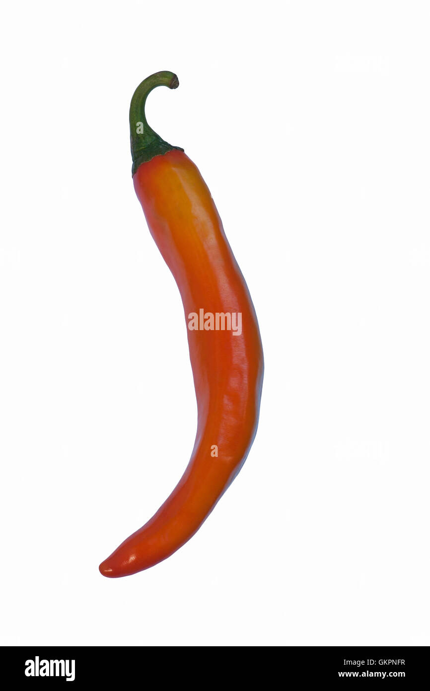 Korean hot pepper Stock Photo - Alamy