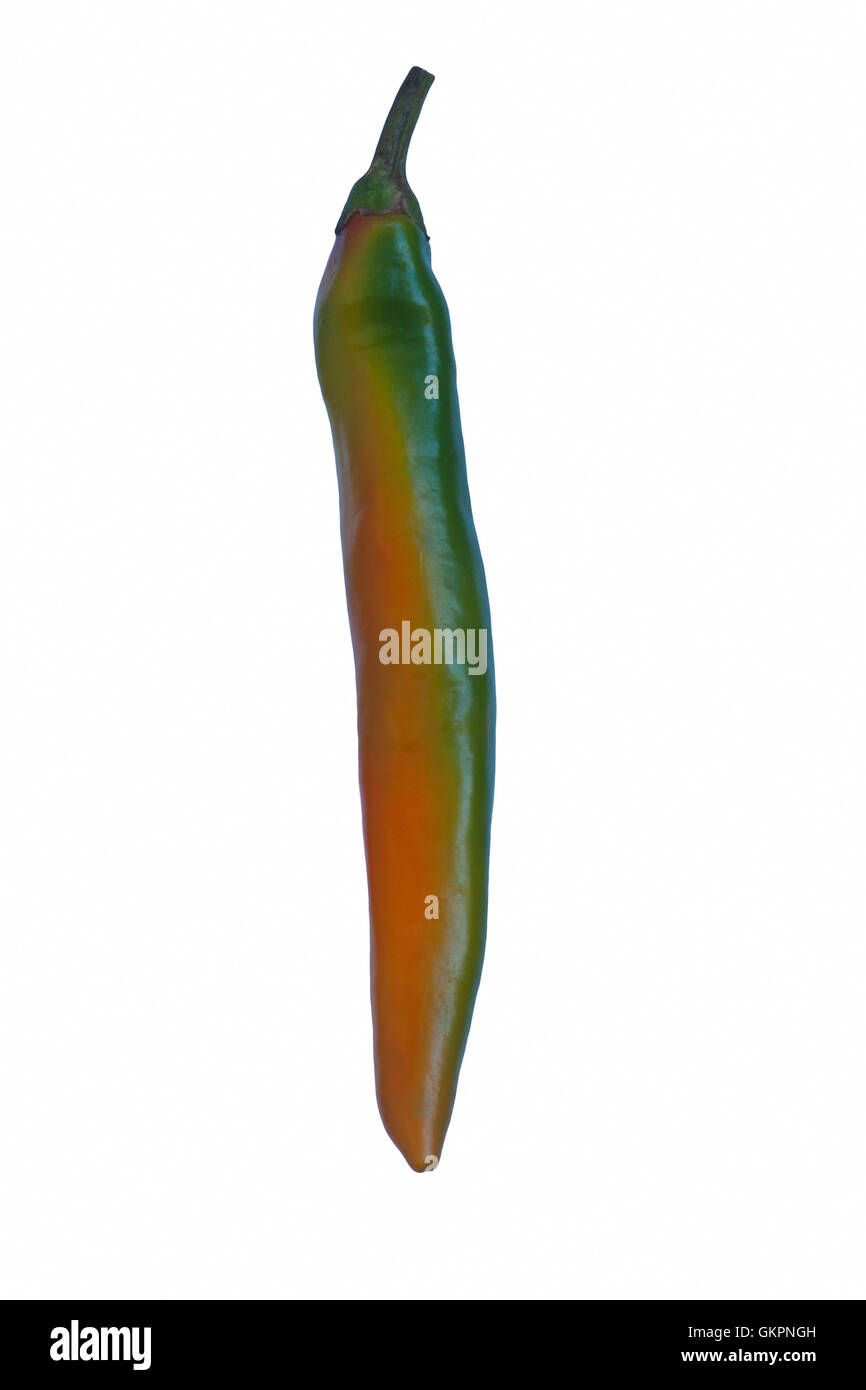 Korean hot pepper Stock Photo - Alamy