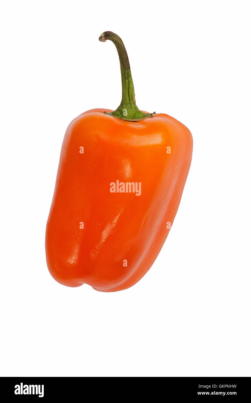 Mini bell pepper Stock Photo - Alamy
