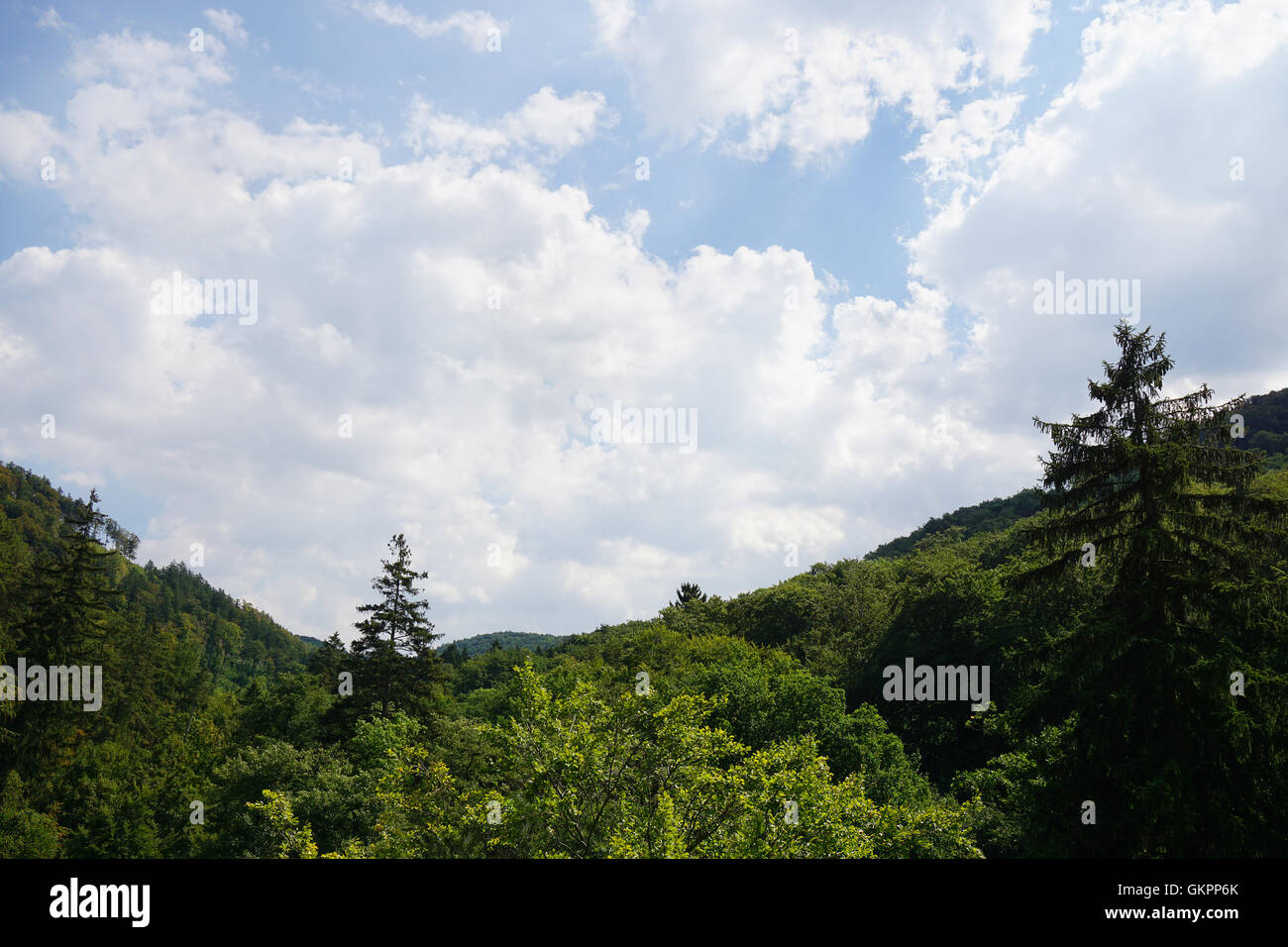 Foothill woodland hi-res stock photography and images - Alamy