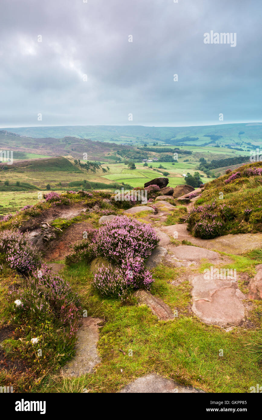 Magnificent landscape of rock formations and moorland at The Roaches in ...