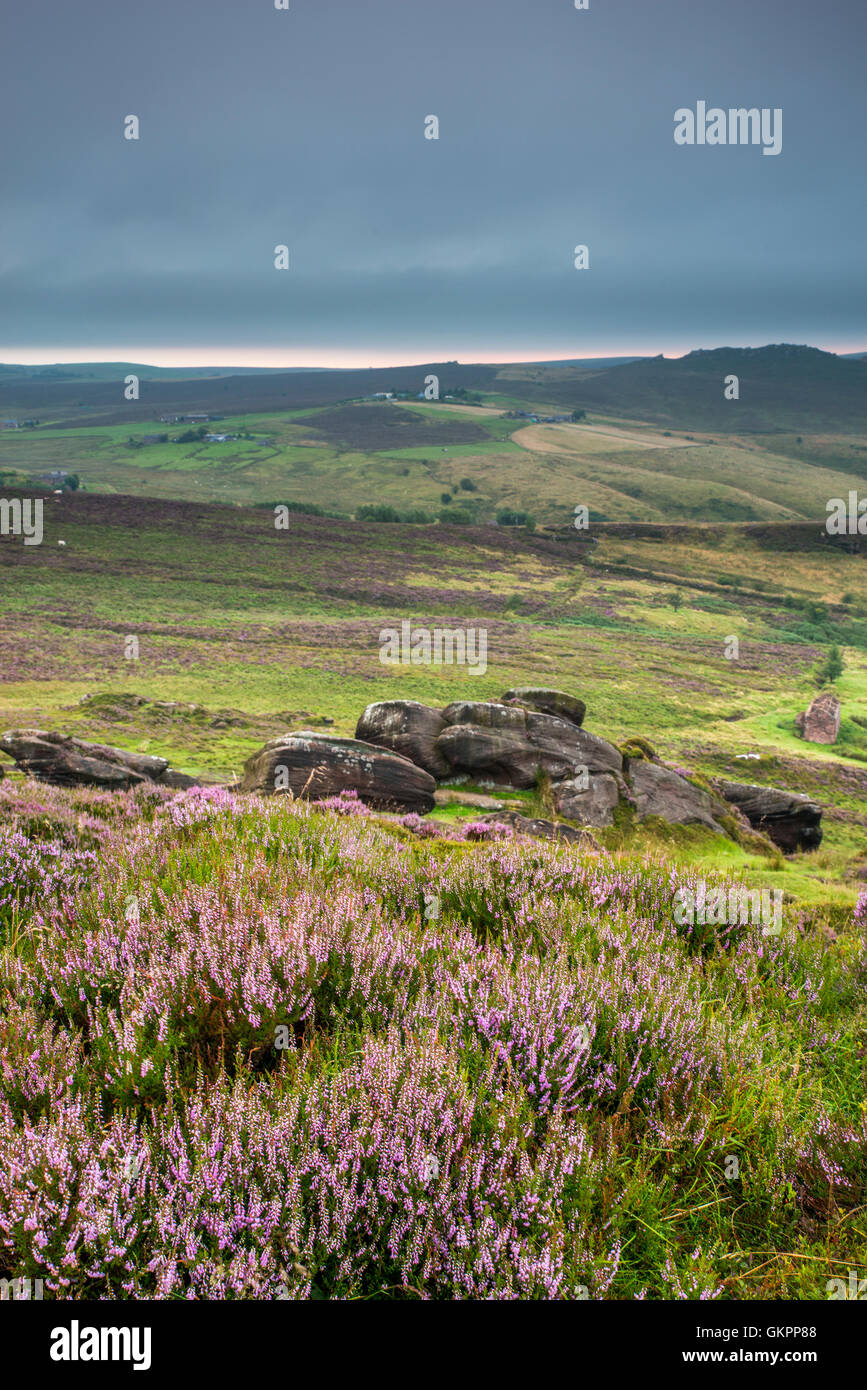 Magnificent landscape of rock formations and moorland at The Roaches in ...