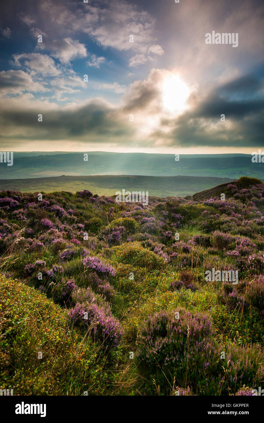 Sunrise over the moors Stock Photo - Alamy