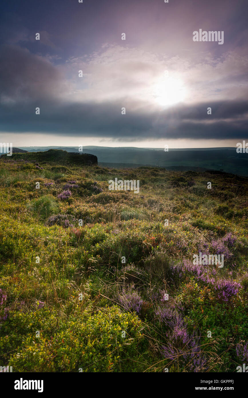 Beautiful dramatic sunrise over fields hi-res stock photography and ...