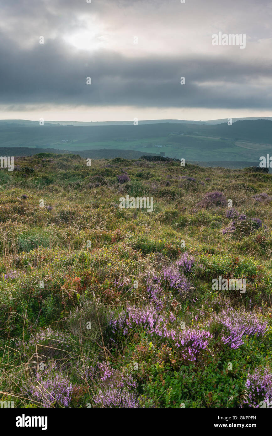Sunrise over the moors Stock Photo - Alamy