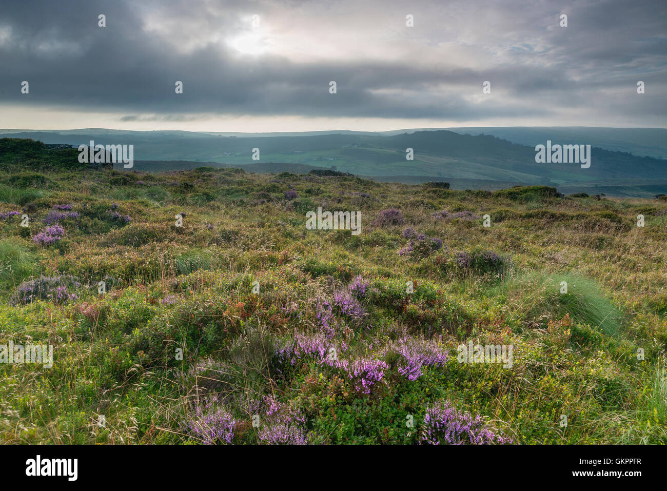 Sunrise over the moors Stock Photo - Alamy