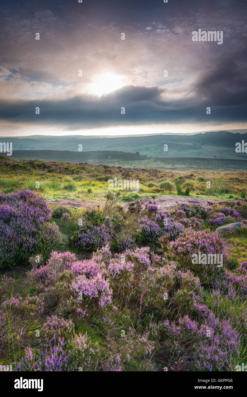 Sunrise over the moors Stock Photo - Alamy
